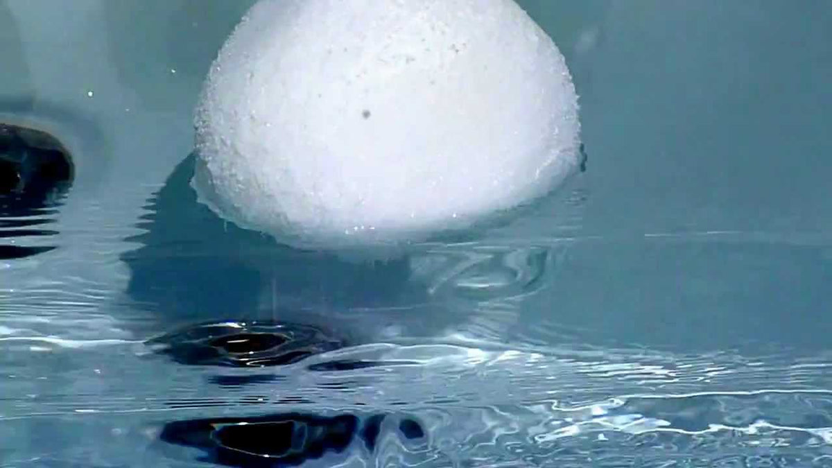 Scum Ball Scum Line Eliminator – Cozy Backyard Pools & Patio's, Inc